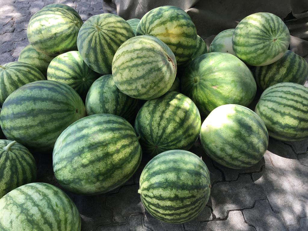 Learn about Zaid crops:Some Main crop grow under Zaid season