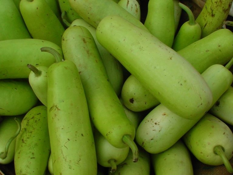 Bottle Gourd -know about nutrition facts and health benefits