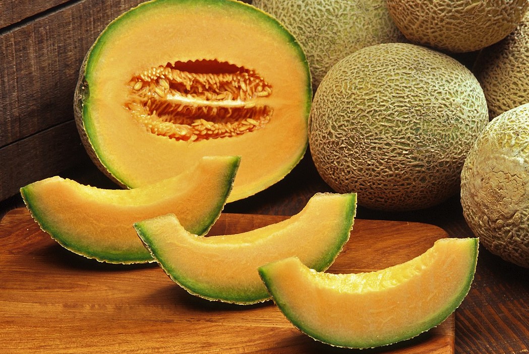 Cantaloupe - know about history and health benefits Cantaloupe - know about history and health benefits