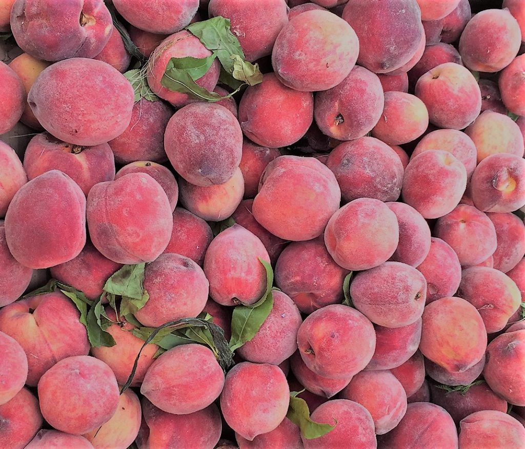 Peach : Discuss About its Planting process And Advantages