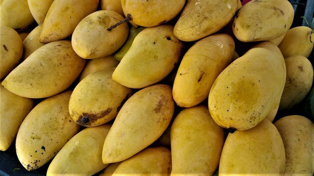 Mango Fruits - Know About Nutrition facts And Their Benefits