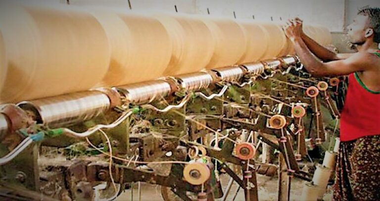 Jute Production - Know About History and production of jute