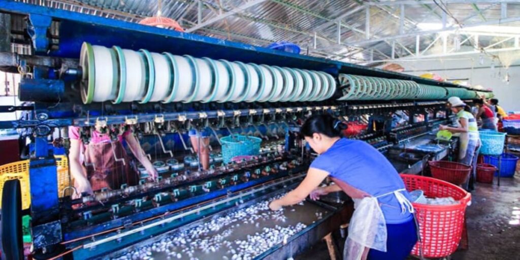 Silk Production -Discuss About process of Silk Production