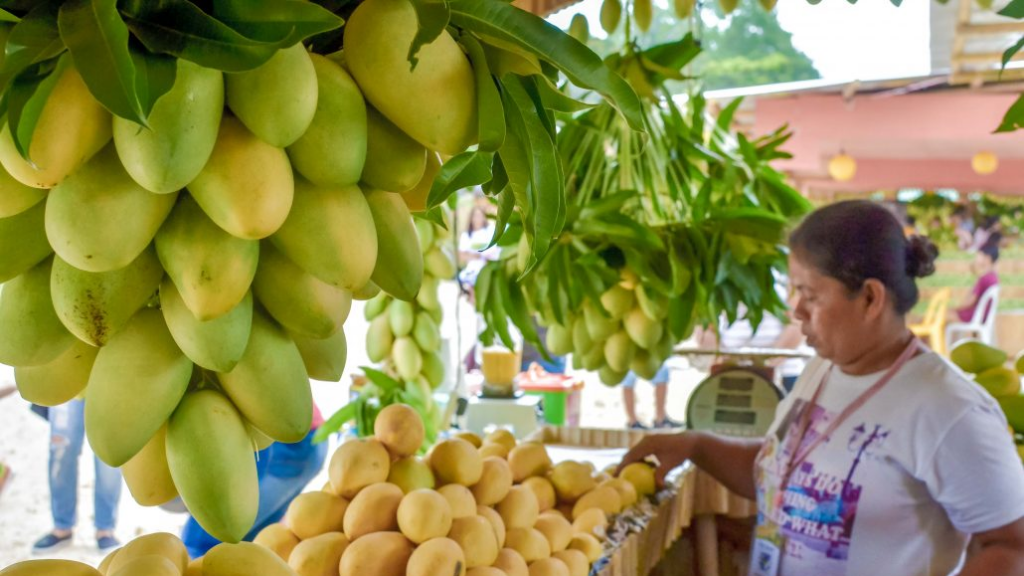 Mango Production - List of top Countries of Mango Production