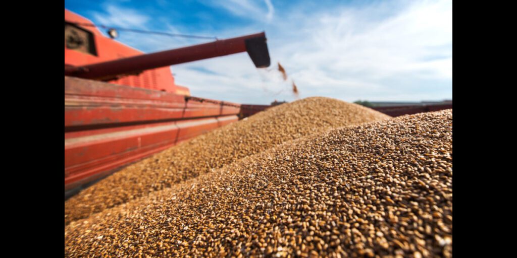 Whear Production - List of countries for wheat production